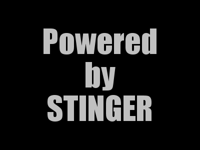 STINGER PLUS2の「Powered by STINGER」を削除/消す方法 – ハードディスクメンテナンス